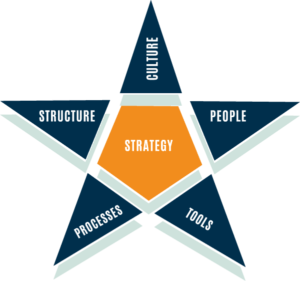 Business Strategy & Consulting Approach | The Persimmon Group