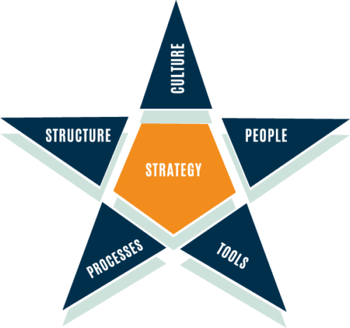 Business Strategy & Consulting Approach | The Persimmon Group